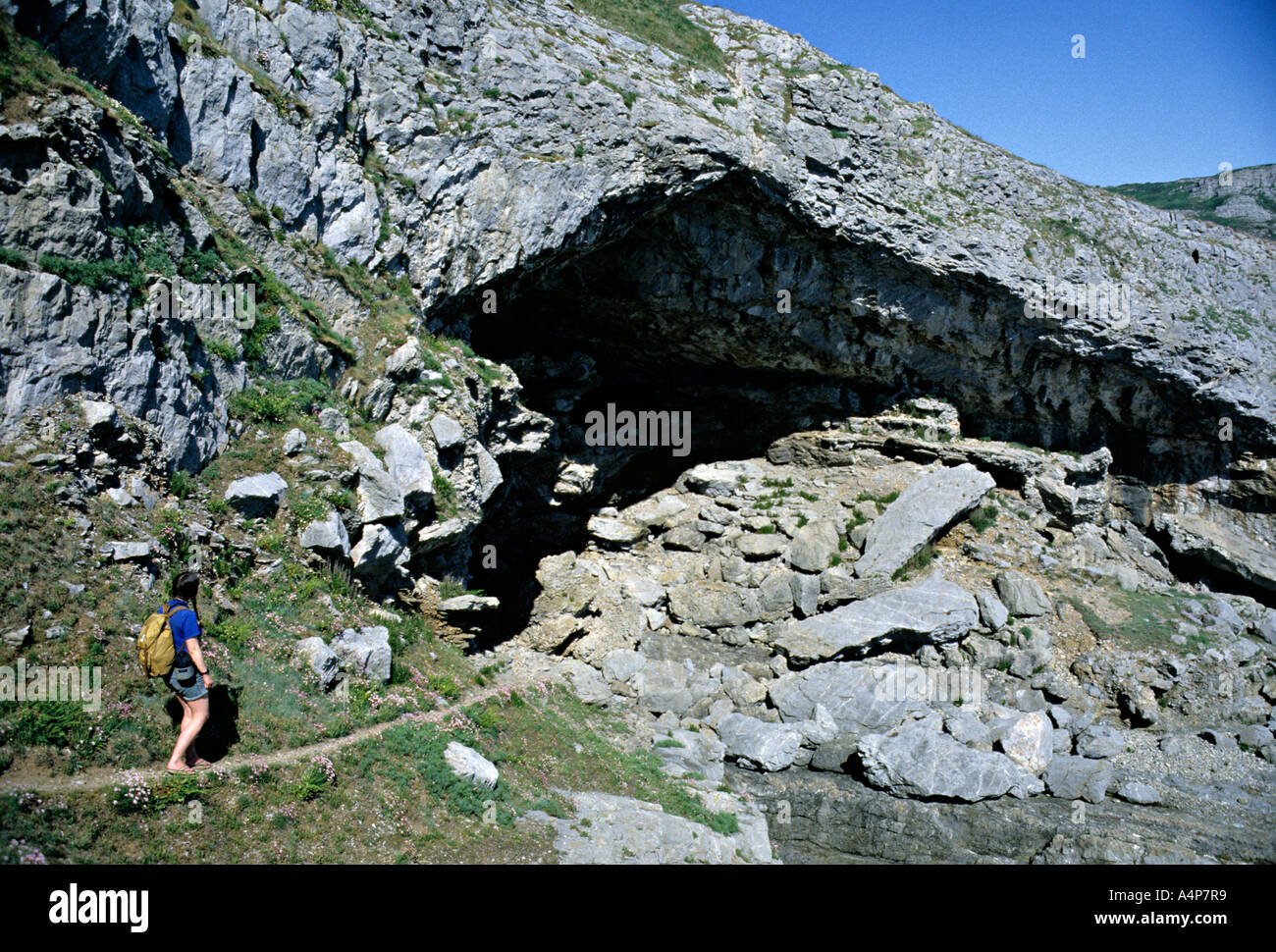 Hiker on the footpath to "Bacon Hole" an archaeological cave on Gower ...