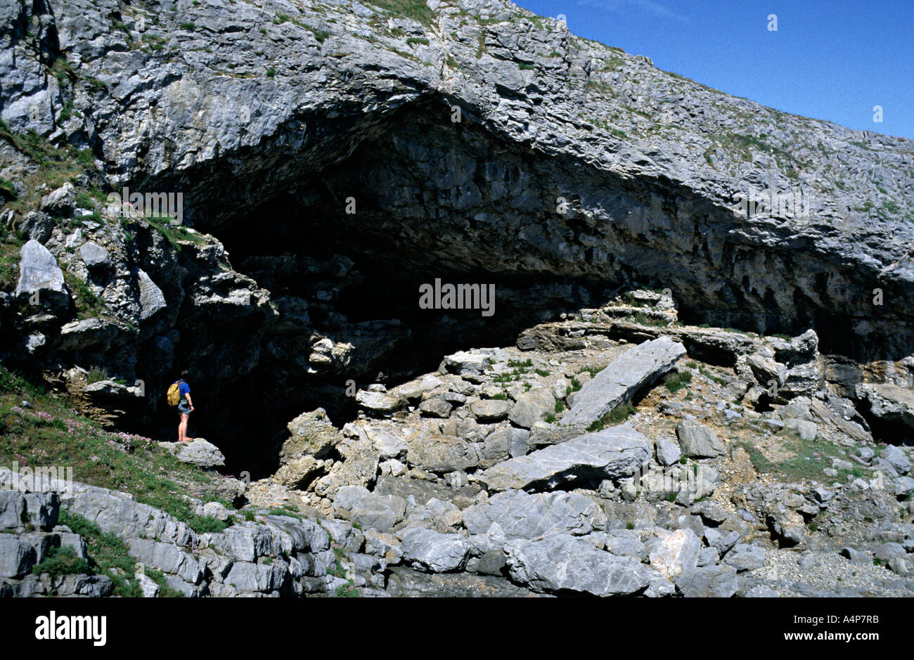 Hiker at the entrance to Bacon Hole an archaeological cave on Gower ...