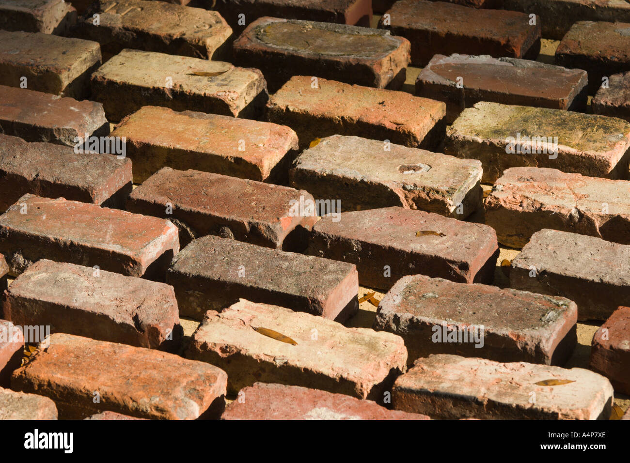 Bricks placed in a uniform pattern for a walkway in Rainbow Springs ...