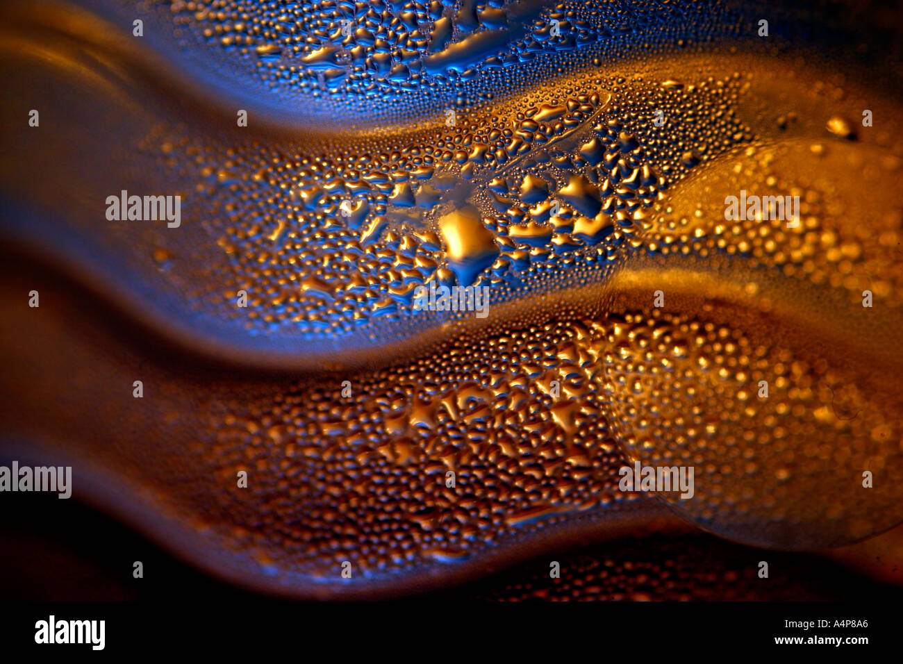 Water Drops Condinsation Stock Photo - Alamy