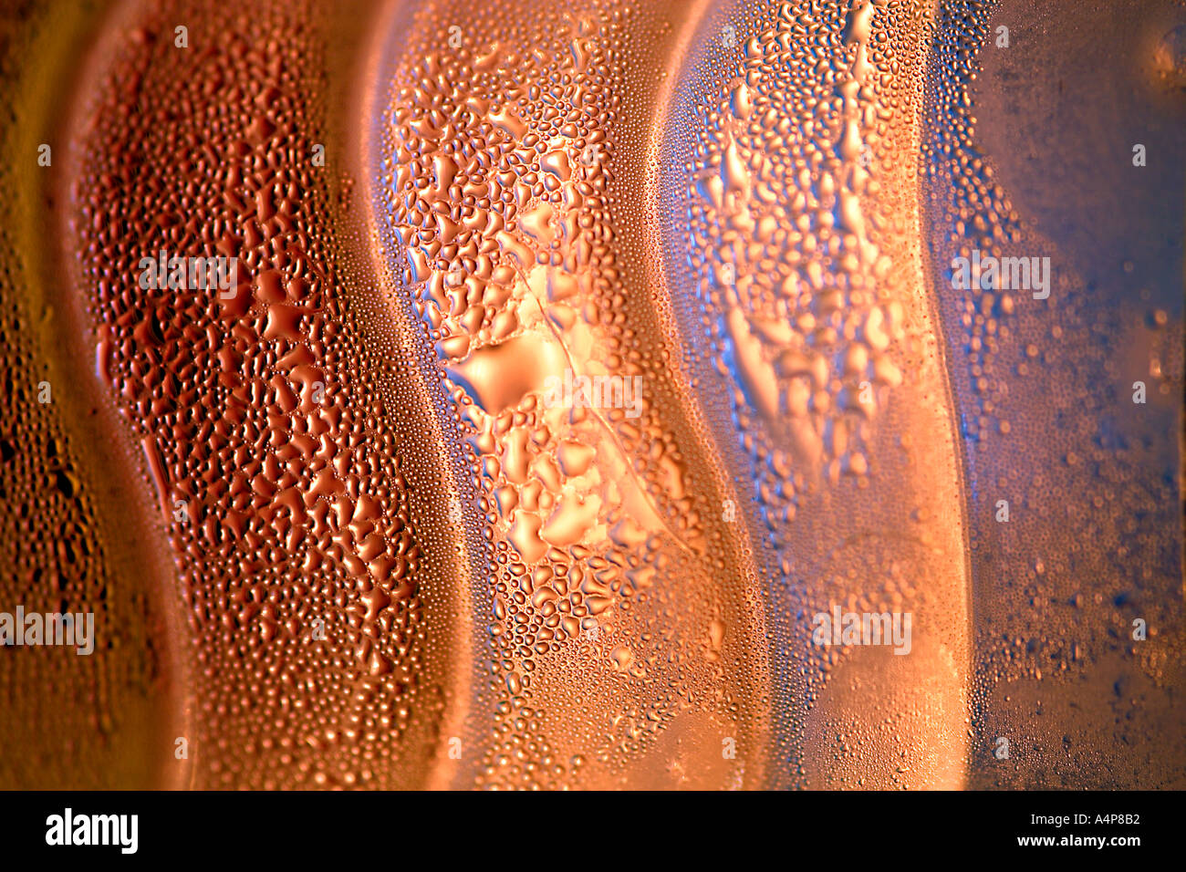 Water Drops Condinsation Stock Photo - Alamy