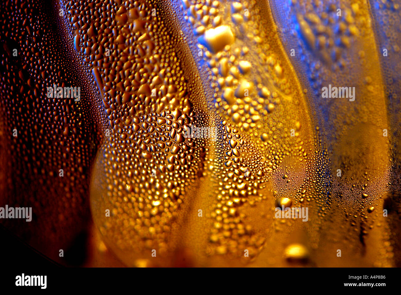 Water Drops Condinsation Stock Photo - Alamy