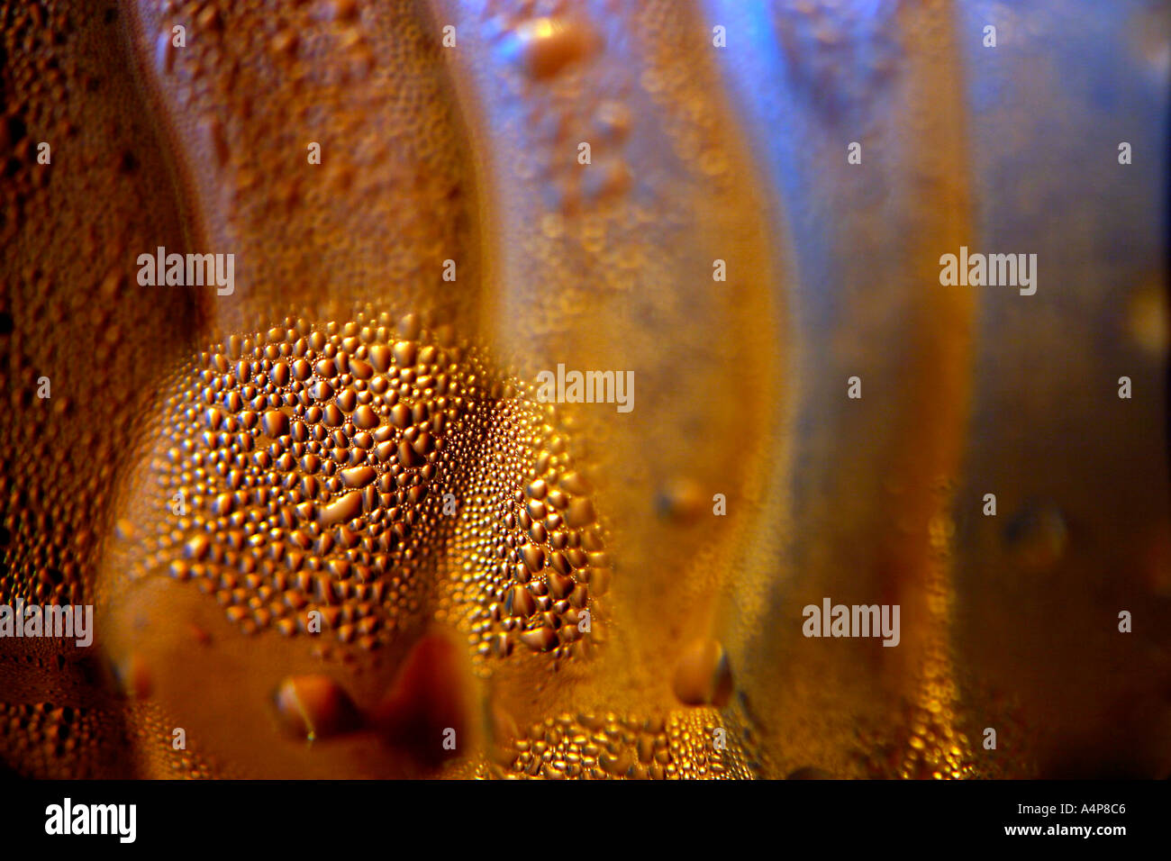 Water Drops Condinsation Stock Photo - Alamy