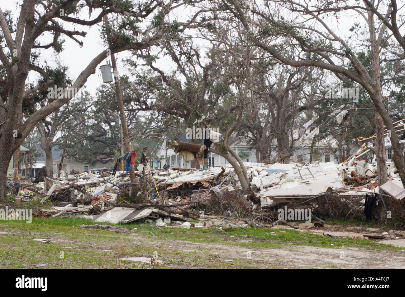 Debri from Hurricane Katrina still hangs in trees six months after ...