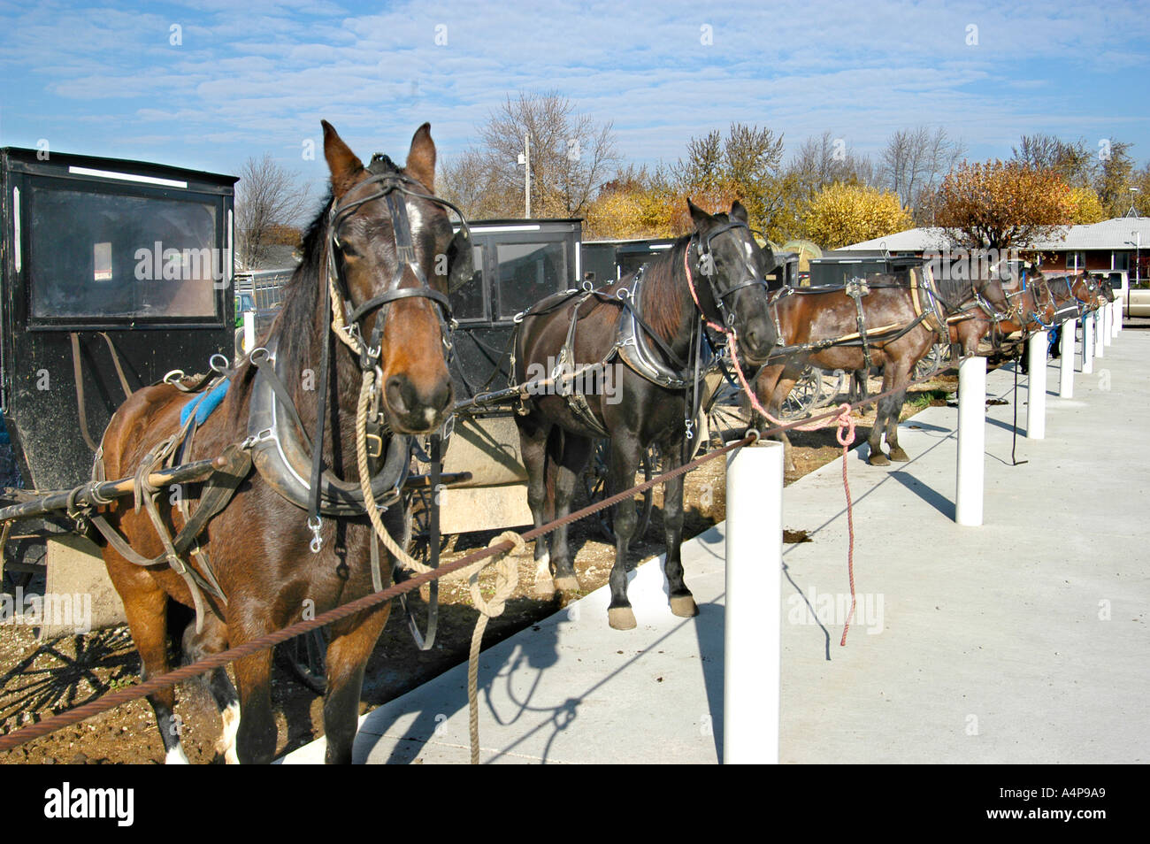 Shipshewana indiana amish farm hi-res stock photography and images - Alamy