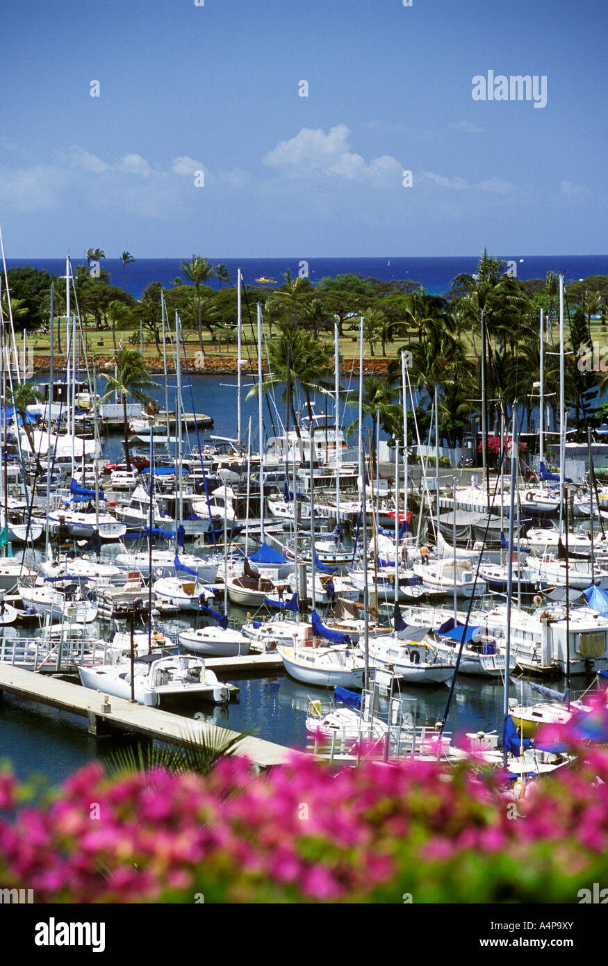 Ilikai hi-res stock photography and images - Alamy