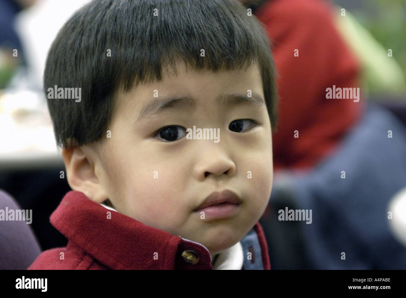 Portrait of an Asian American 3 year old boy Stock Photo - Alamy