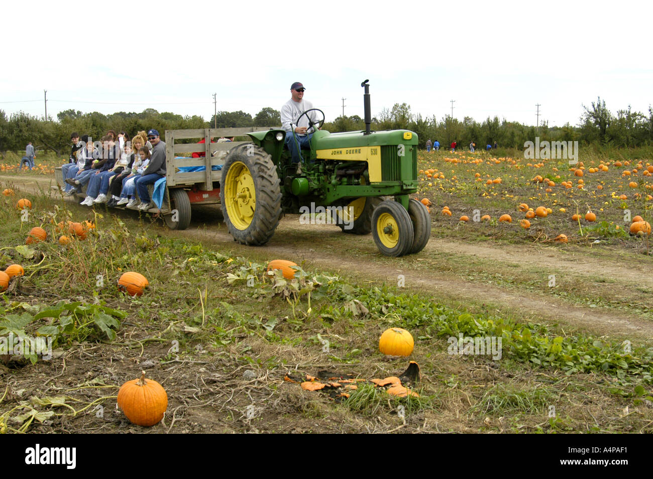Hayride hi-res stock photography and images - Alamy