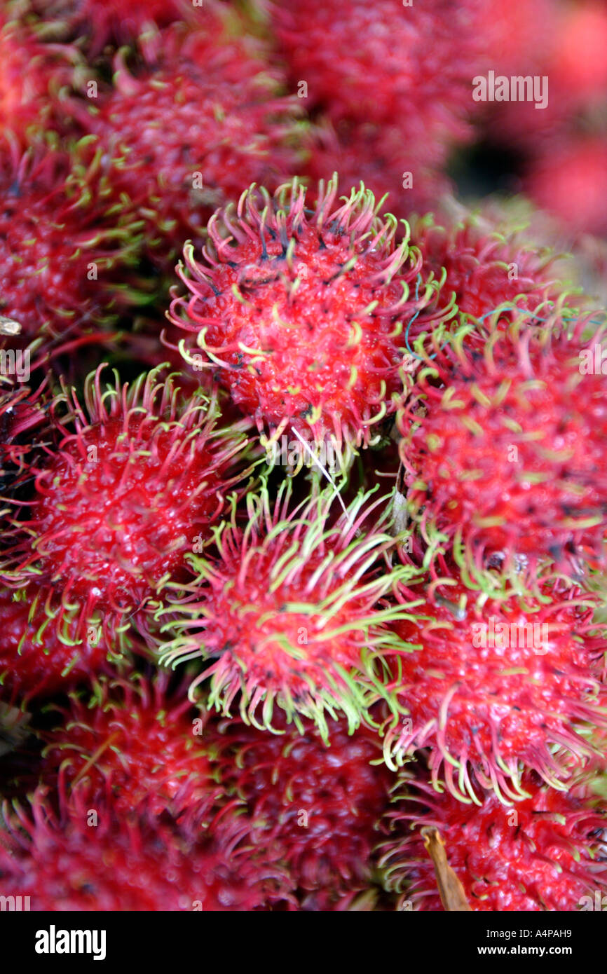east africa tanzania island of zanzibar a bunch of lychees Stock Photo ...