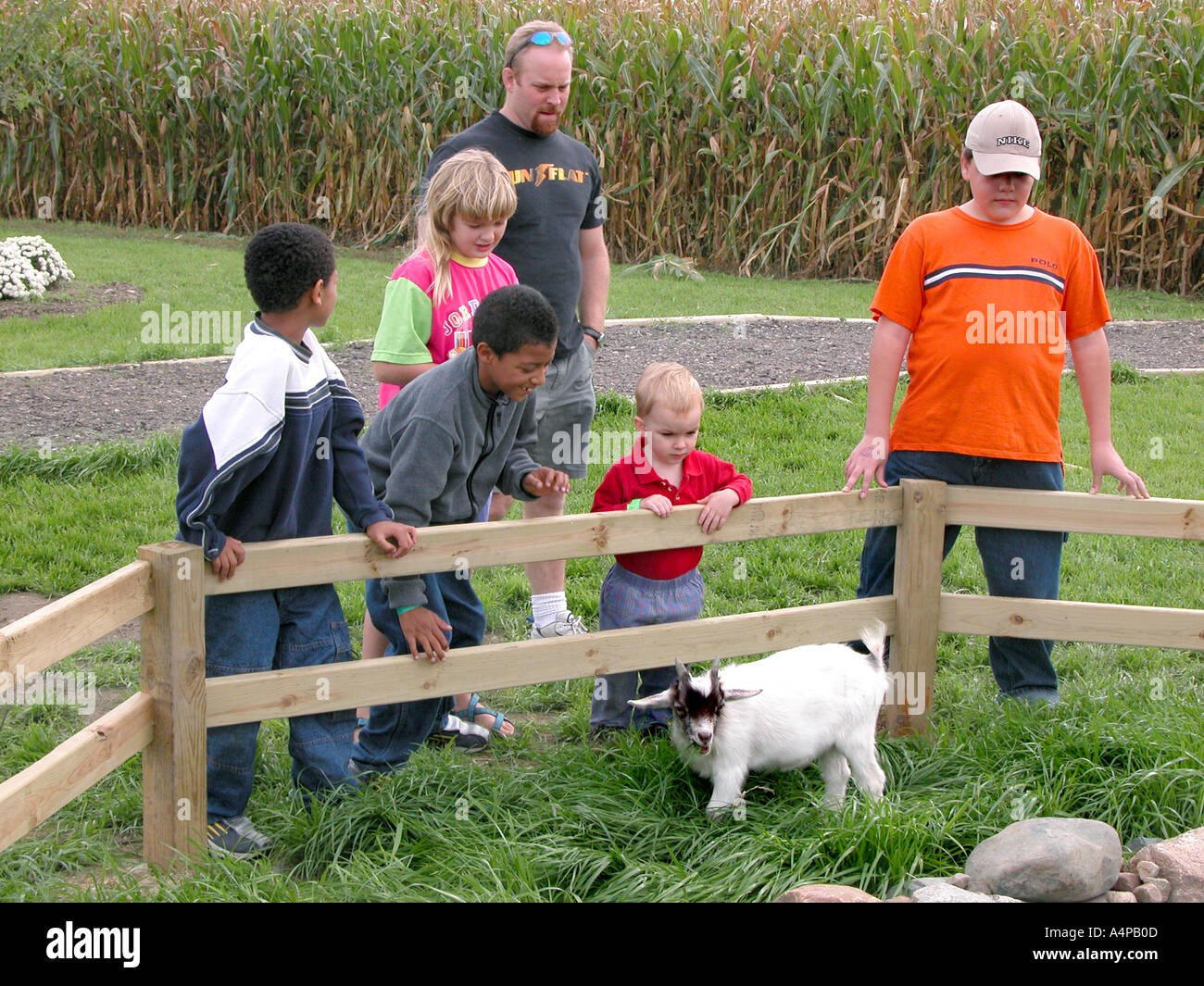 Pets for children hi-res stock photography and images - Alamy