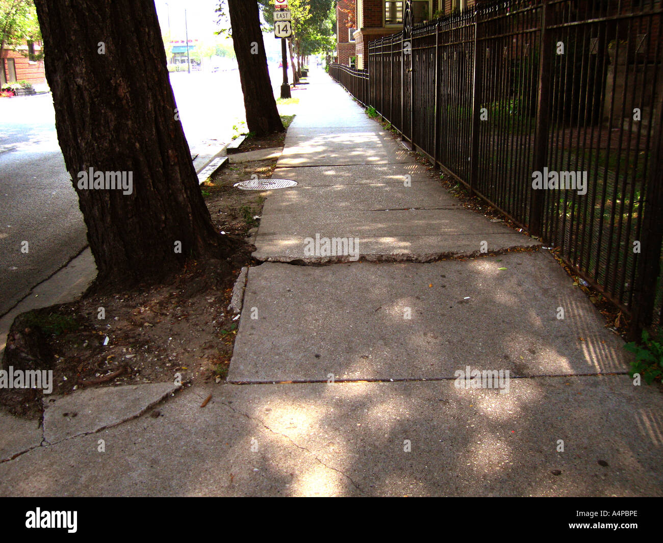 Tree roots crack hi-res stock photography and images - Alamy