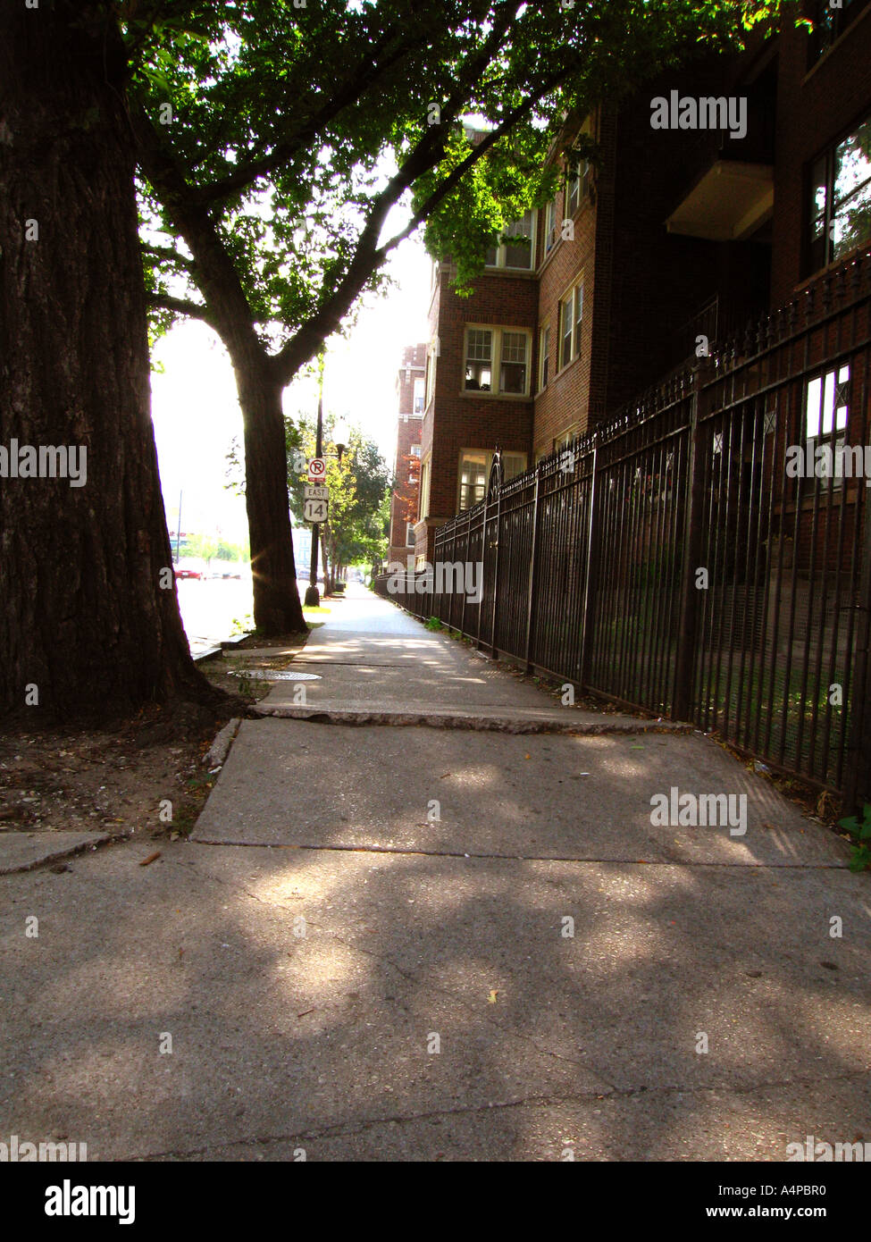 Tree roots growth causing the sidewalk to break and crack Stock Photo ...