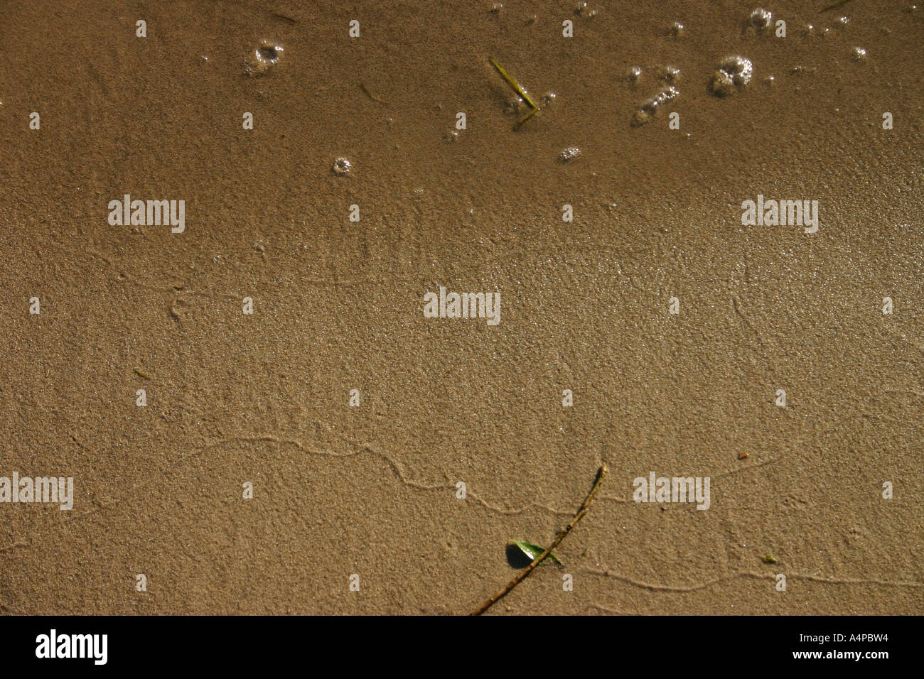 Water's edge on a sandy beach lake geneva, WI Stock Photo - Alamy