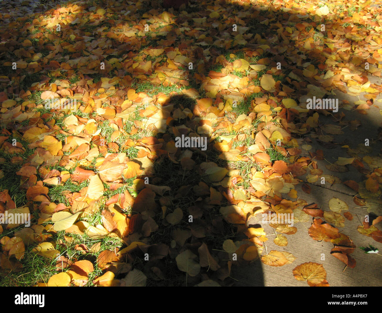 One person shadow scary hi-res stock photography and images - Alamy