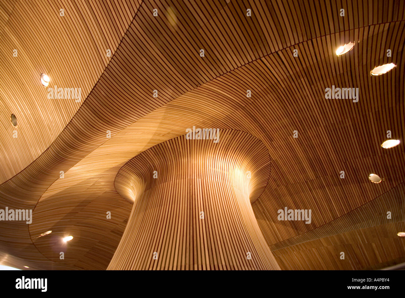 Interior National Assembly for Wales Building Cardiff Bay South Wales ...