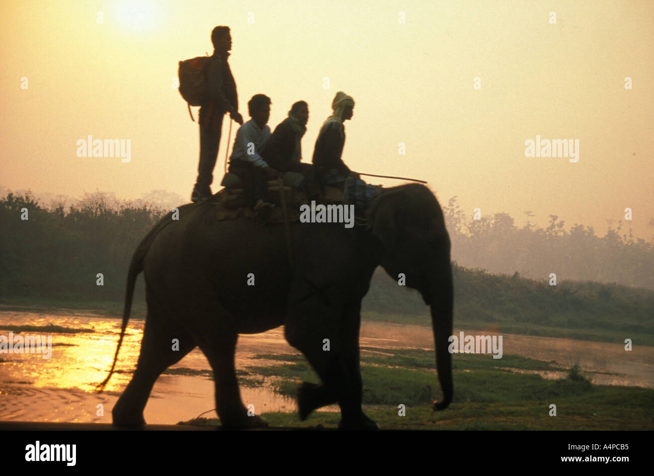 Sunrise, Chitwan Park, Nepal Stock Photo - Alamy