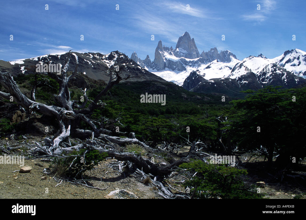 Fitz Roy Mountain range at midday El Chalten Los Glaciares National ...