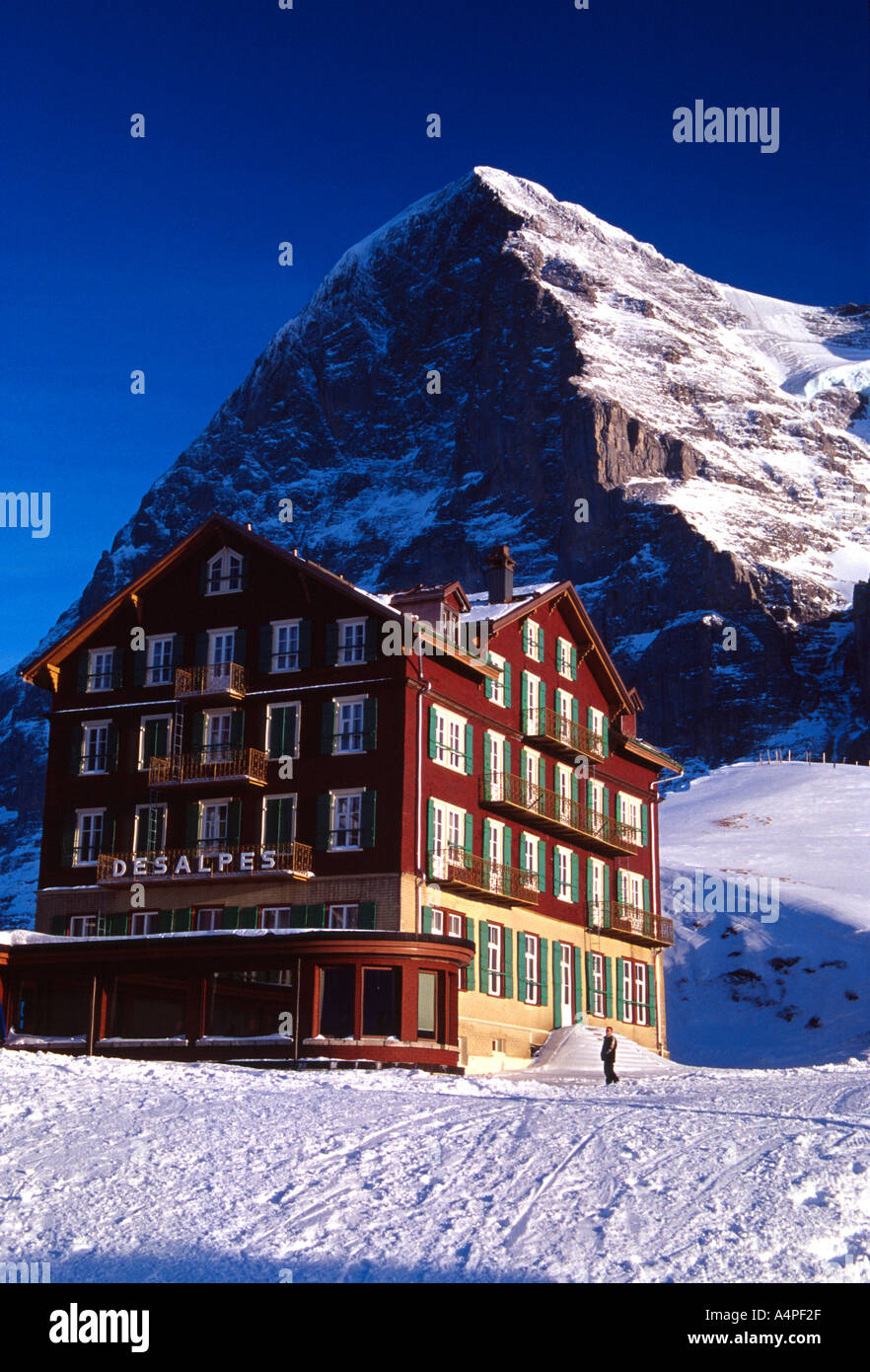 Kleine Scheidegg Hotel Scheidegg Eiger High Resolution Stock ...
