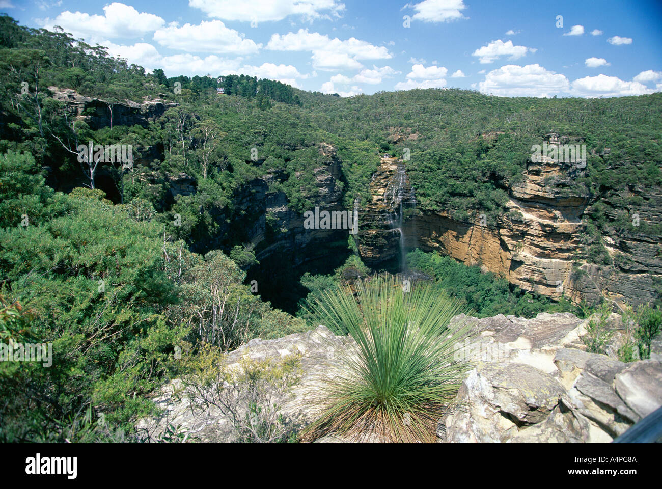 The Wentworth Falls 300m high on the great cliff face in the Blue ...