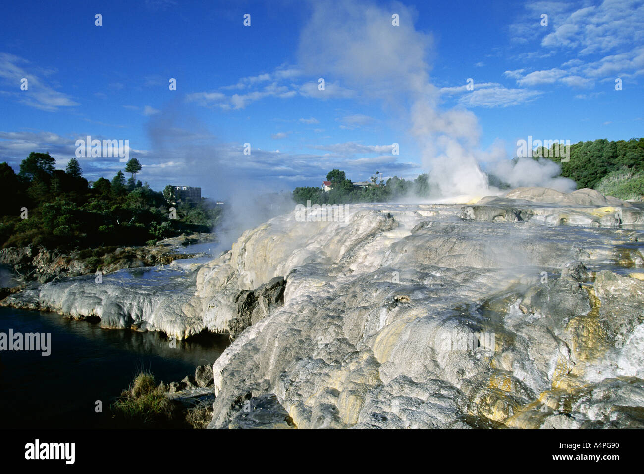 Mineral terraces around geysers Whakarewarewa thermal area Rotorua ...
