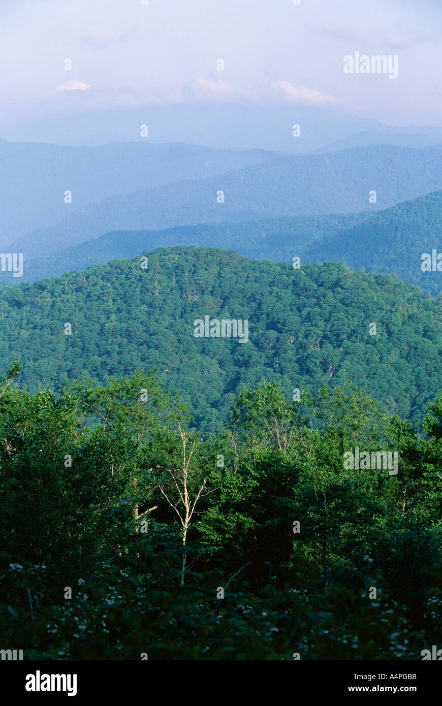 Looking over the Appalachian mountains from the Blue Ridge Parkway in ...
