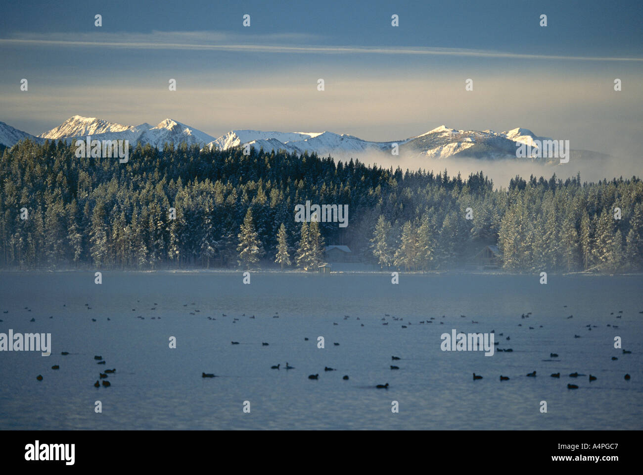 Georgetown lake montana hi-res stock photography and images - Alamy