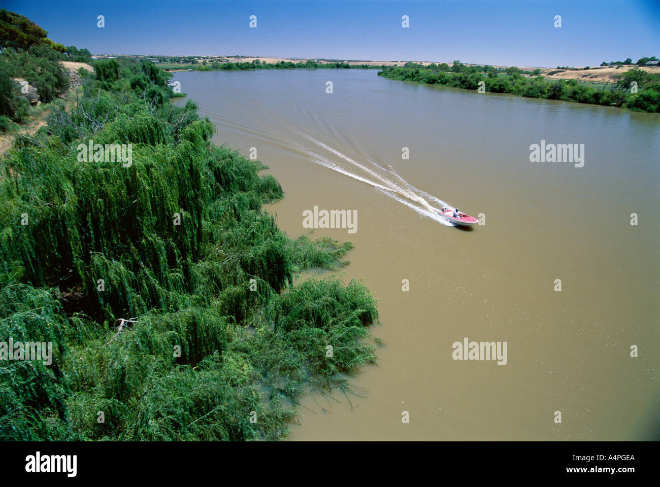 The Murray River at Murray Bridge the state s largest river town south ...