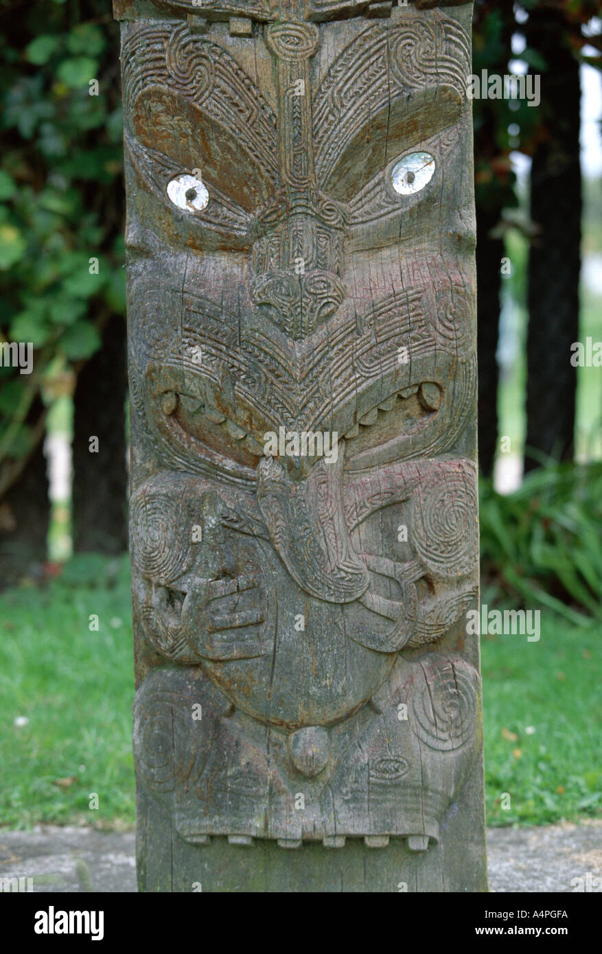 Carved wooden panel at a Maori marae or meeting house Putiki near ...