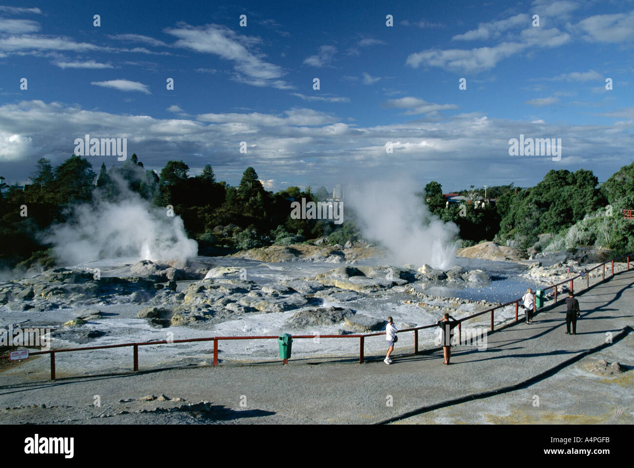 Erupting geysers and mineral terraces Whakarewarewa thermal area ...