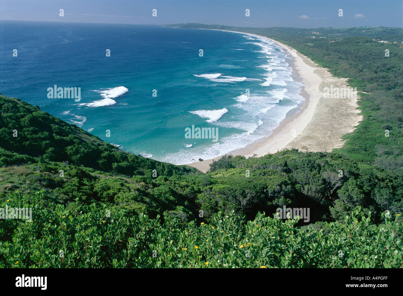 Looking south from Cape Byron to Tallow Beach a surfing spot east of ...