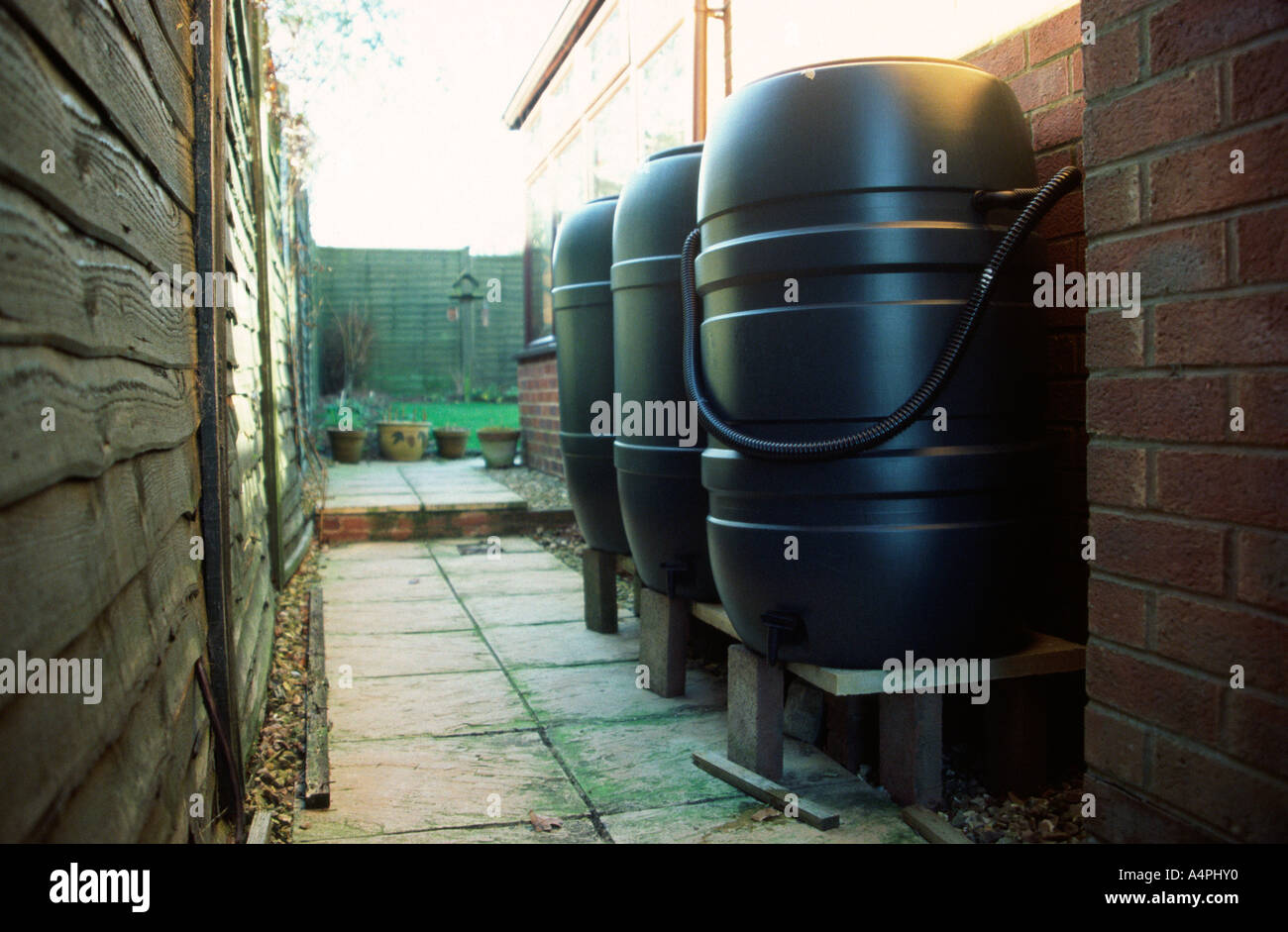 Water Butt in English garden Stock Photo - Alamy