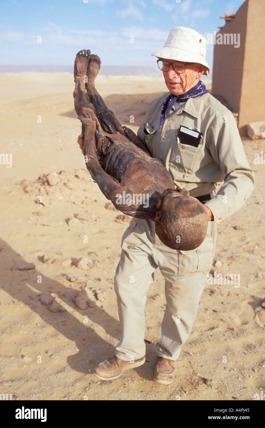 Africa Egypt Archaeological dig at Dakhla Oasis Stock Photo - Alamy