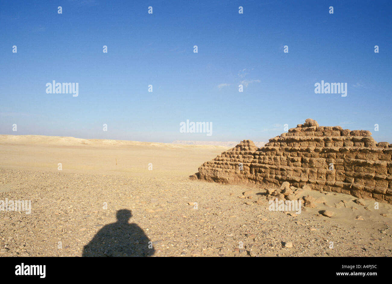 Archaeologists At Dig Egypt High Resolution Stock Photography and ...