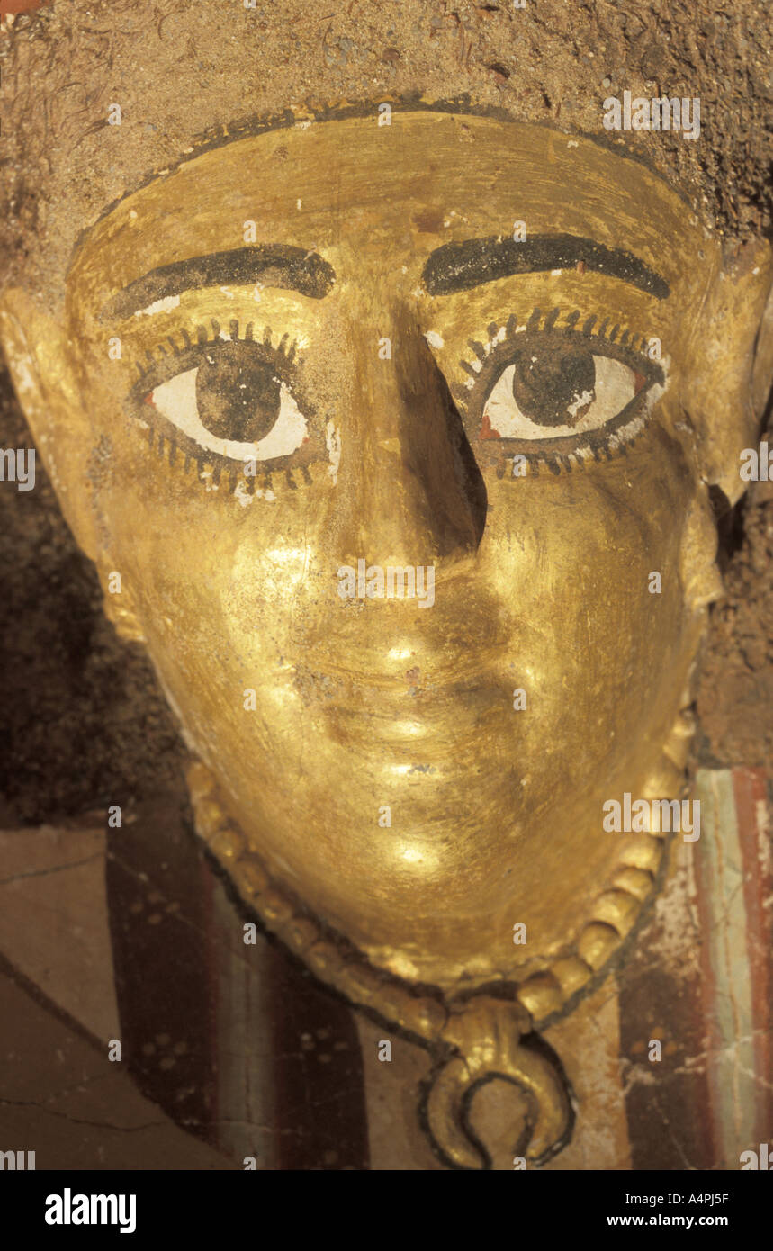 Archaeologists at dig egypt hi-res stock photography and images - Alamy