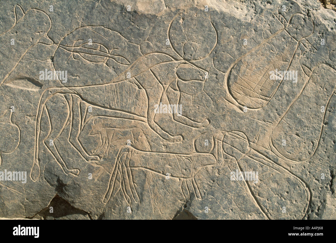 Africa Egypt Archaeological dig at Dakhla Oasis Stock Photo - Alamy