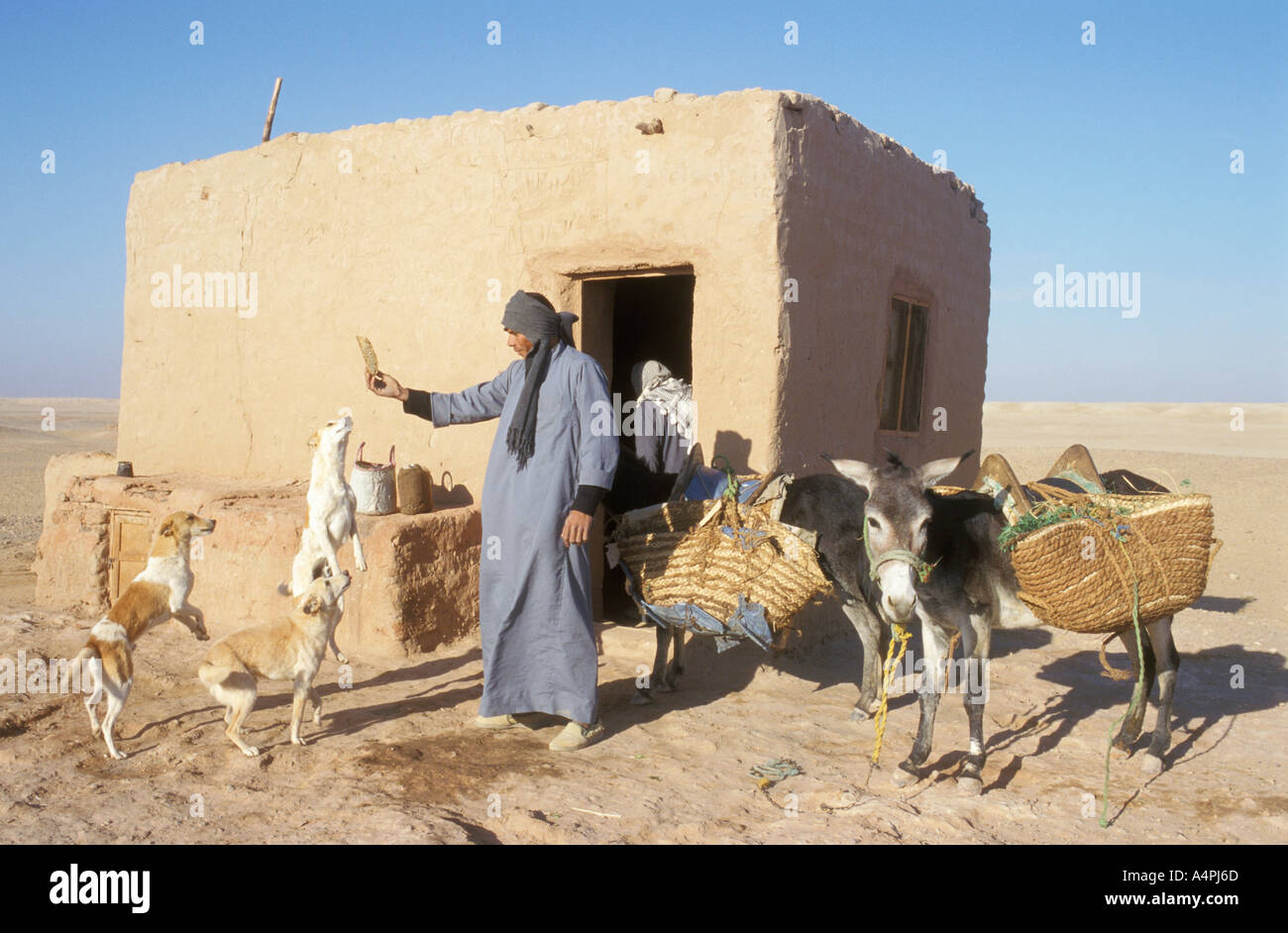Africa Egypt Archaeological dig at Dakhla Oasis Stock Photo - Alamy