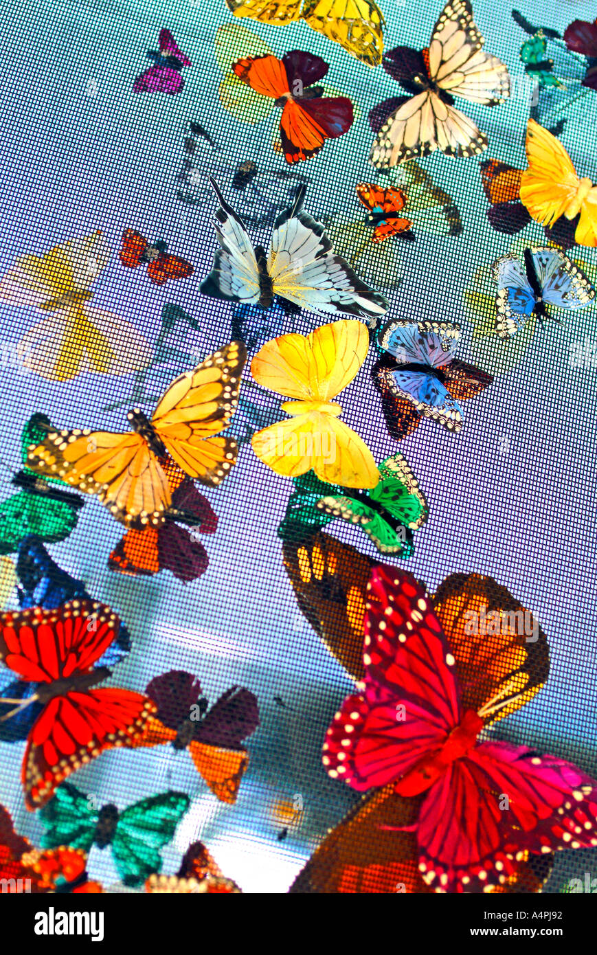 Fake butterflies hi-res stock photography and images - Alamy