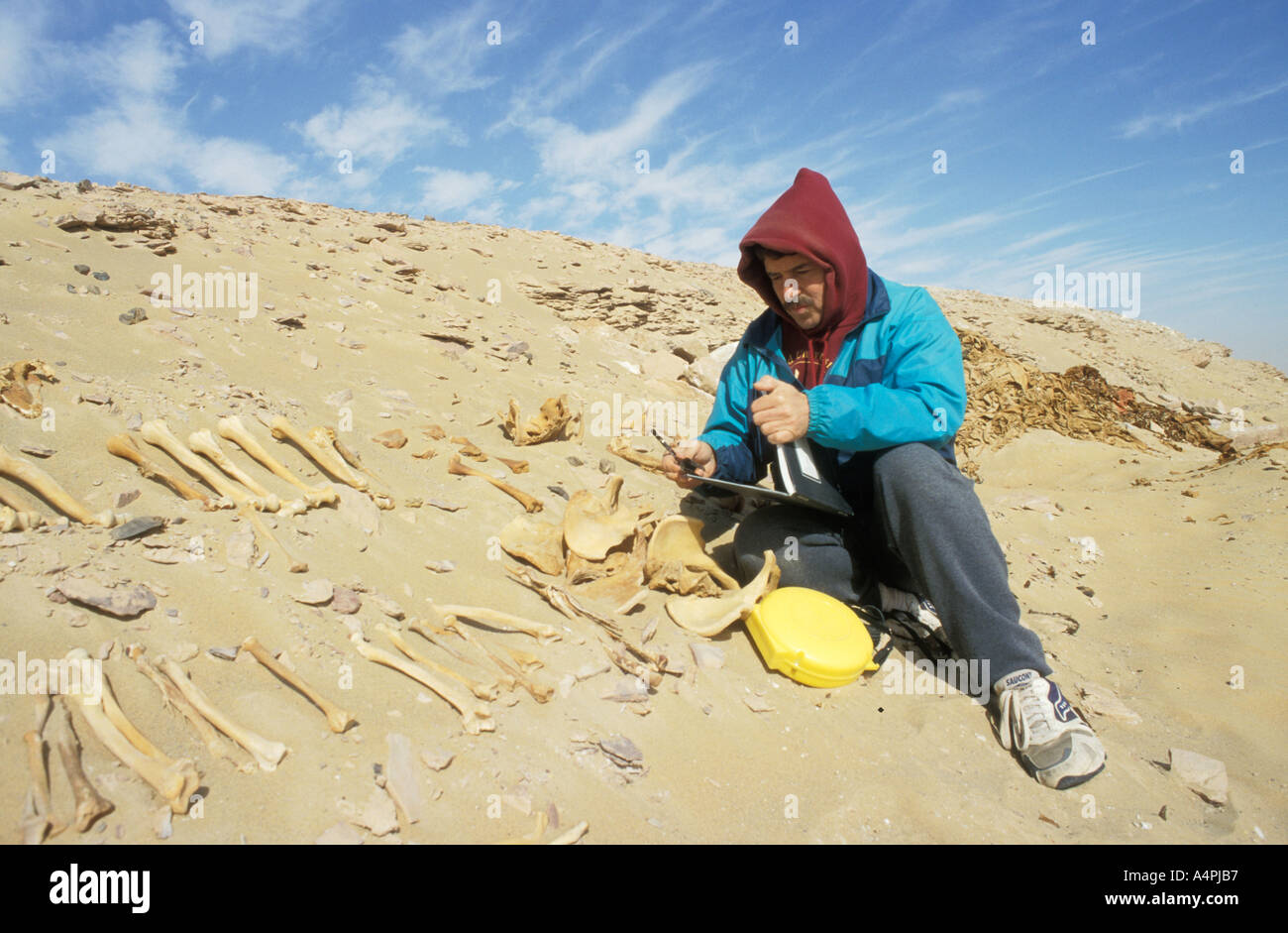 Africa Egypt Archaeological dig at Dakhla Oasis Stock Photo - Alamy