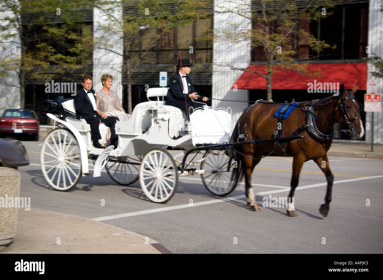 Old fashioned horse drawn carriage female hi-res stock photography and ...