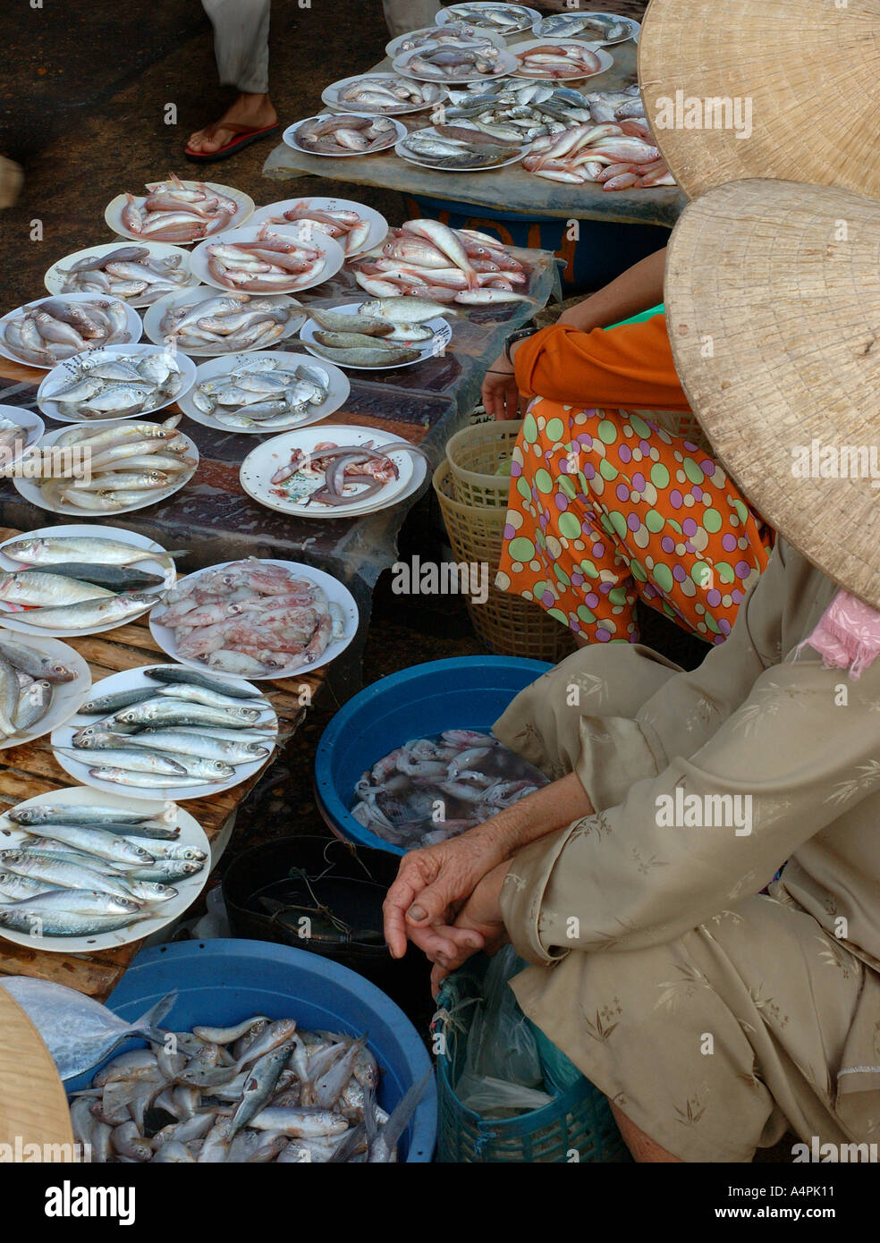 Hoi An fish market Vietnam South East Asia Stock Photo - Alamy
