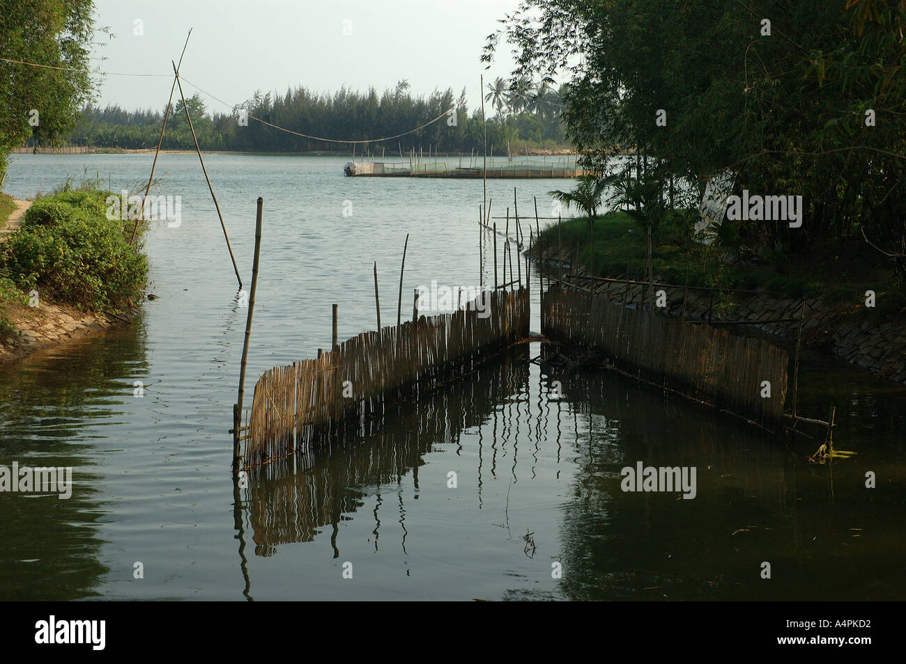 Bamboo trap south vietnam hi-res stock photography and images - Alamy