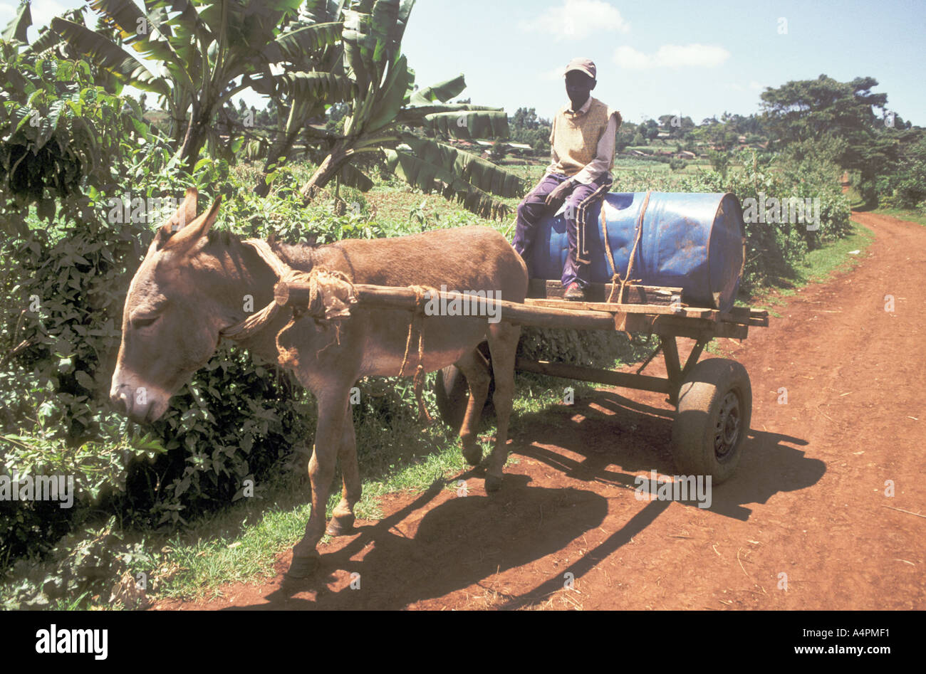 Africa kenya Water issues Stock Photo - Alamy