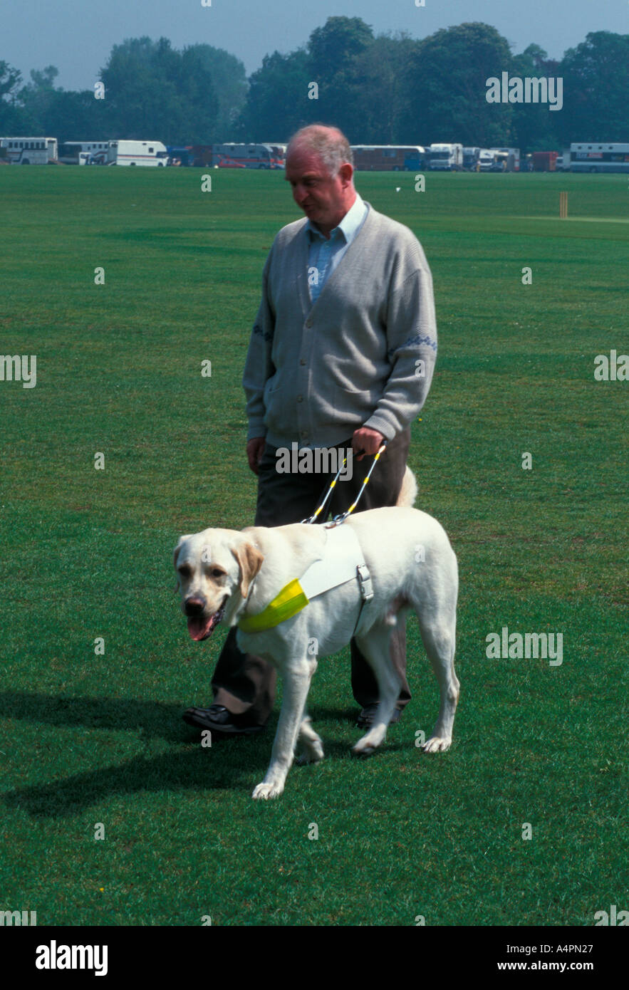 Blind man dog hi-res stock photography and images - Alamy