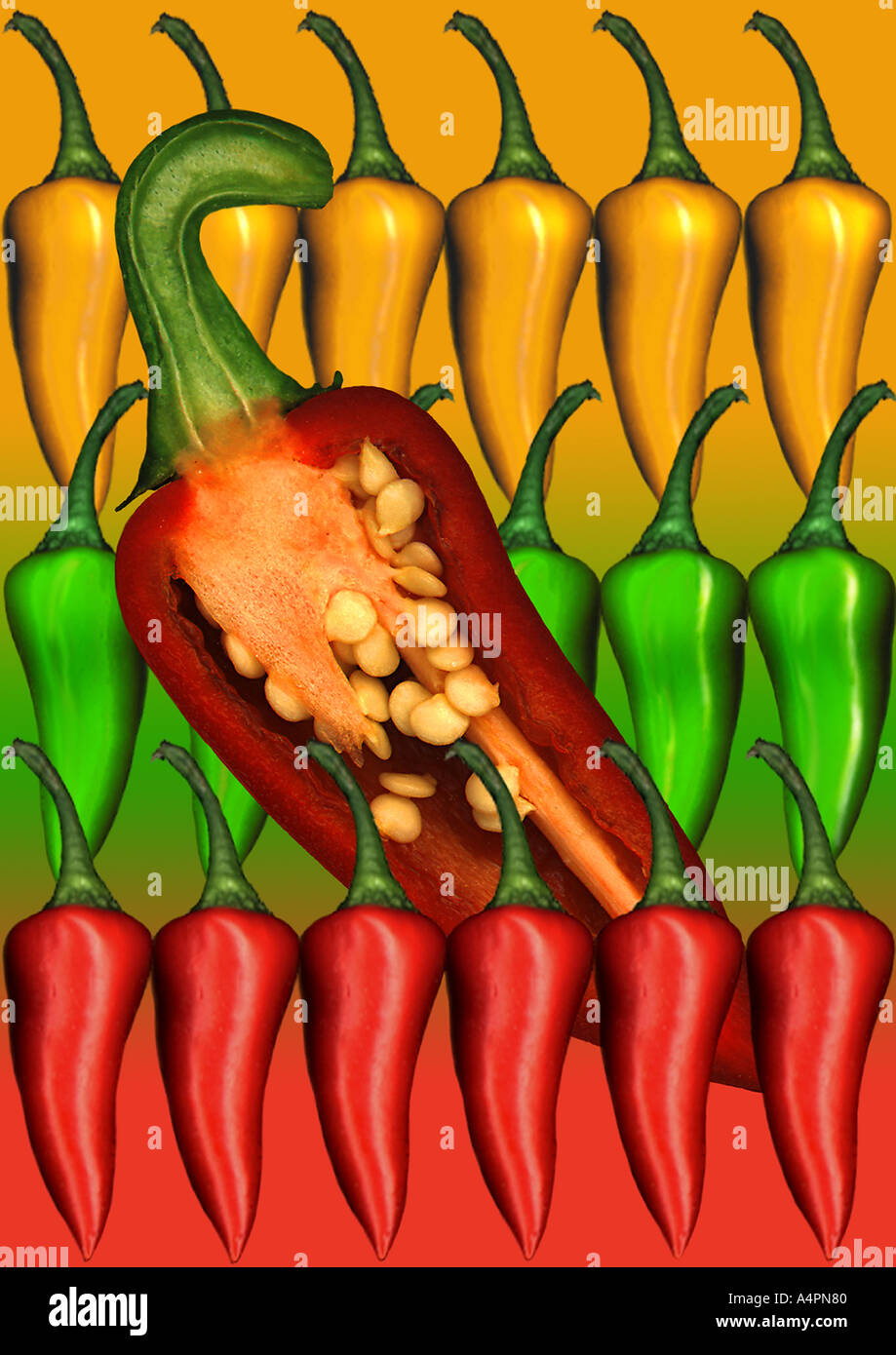 Chilli peppers. Yellow, green and red, Pod, Spice, Sauce, Strength ...