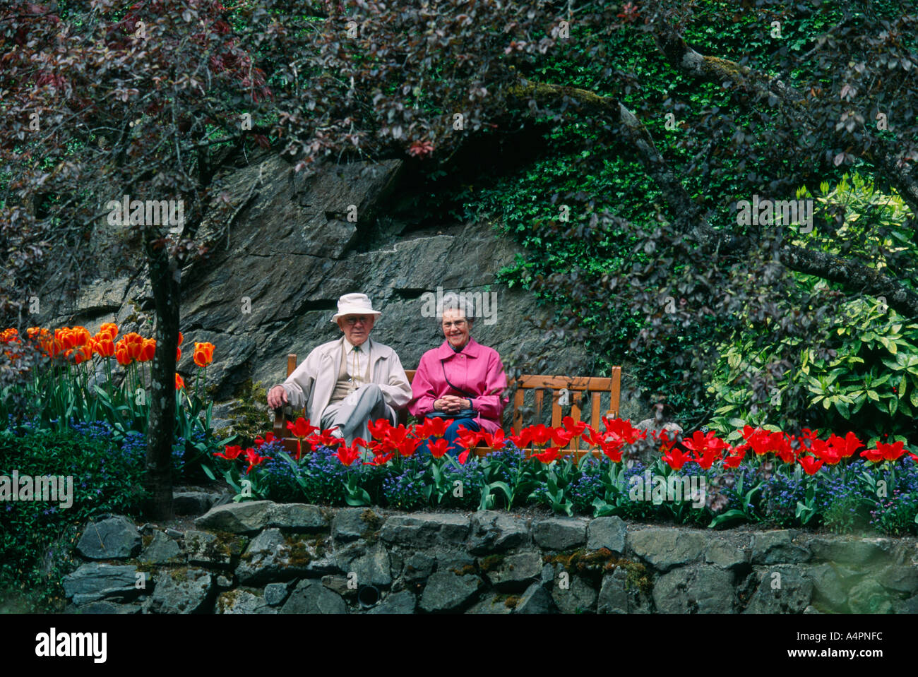 Senior couple resting on bench at Butchart Gardens in springtime Stock ...