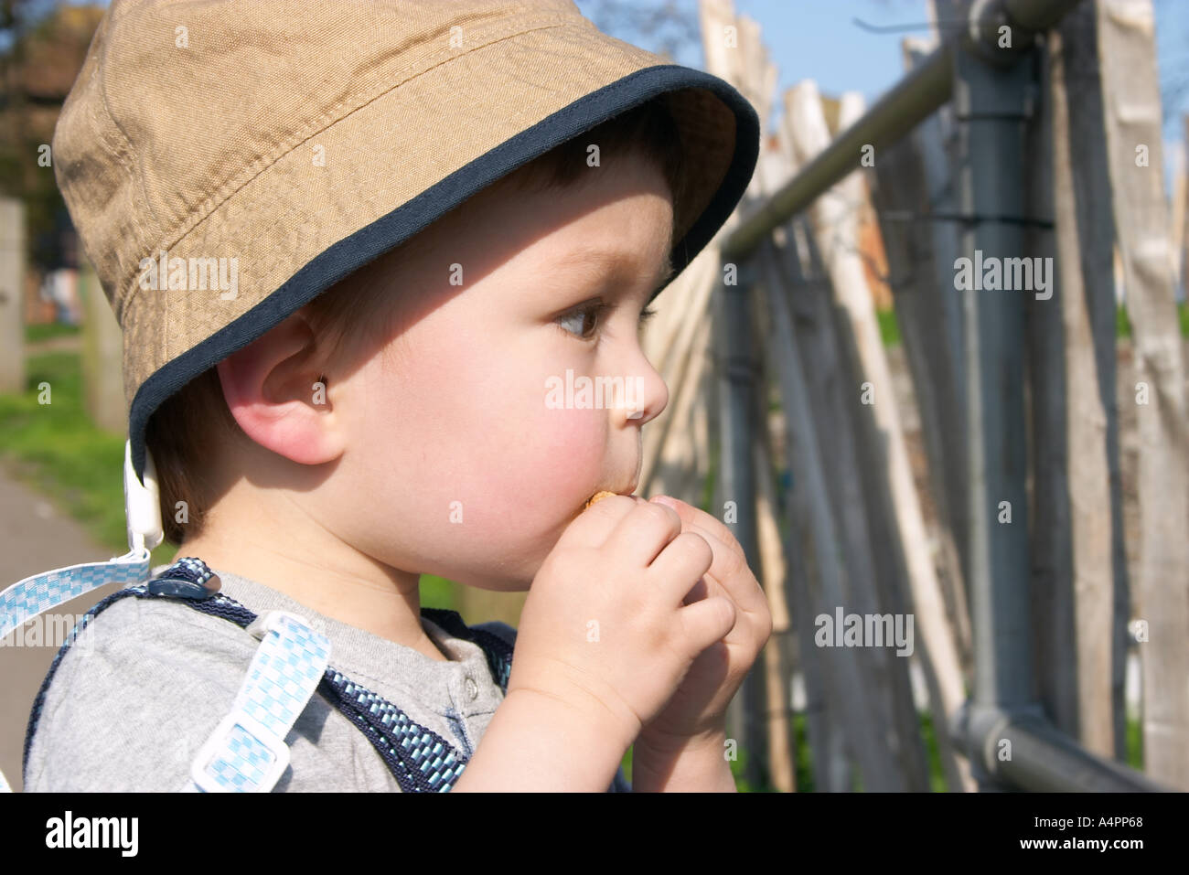 Young boy eating breakfast Stock Photo - Alamy