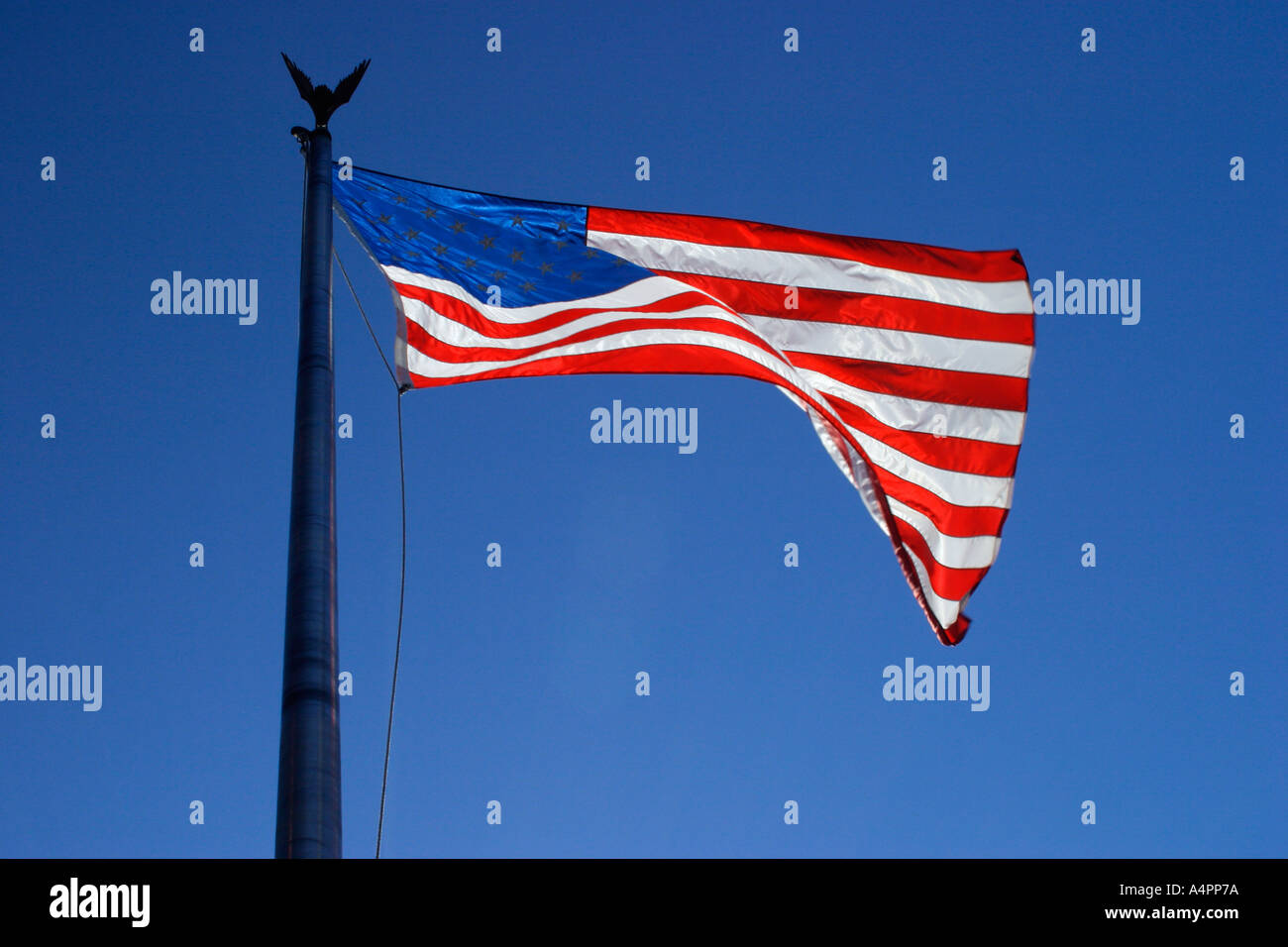 American flag backlit hi-res stock photography and images - Alamy