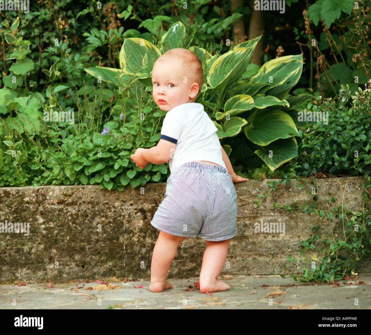 In surrey hi-res stock photography and images - Alamy