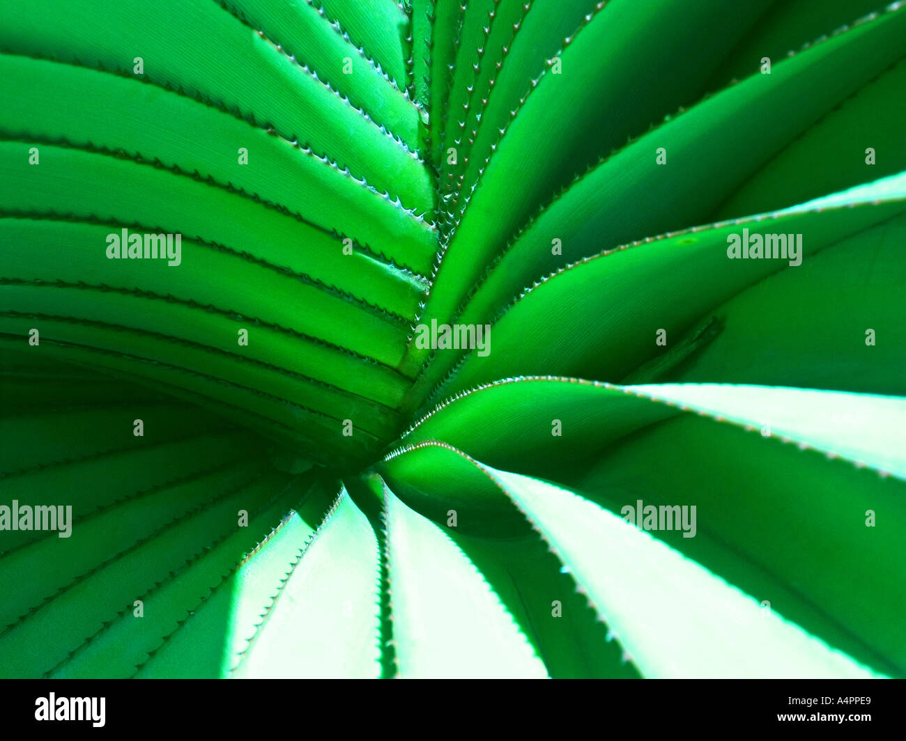 Radial spikes hi-res stock photography and images - Alamy