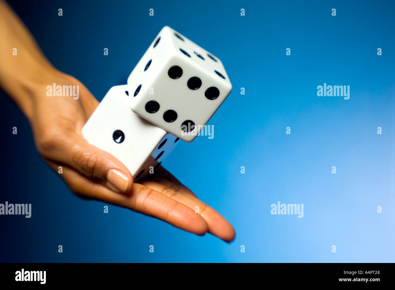 Hand holding dice Stock Photo - Alamy
